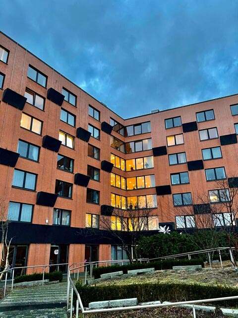 Weihnachtsparade im Garten von Elysis - Elysis